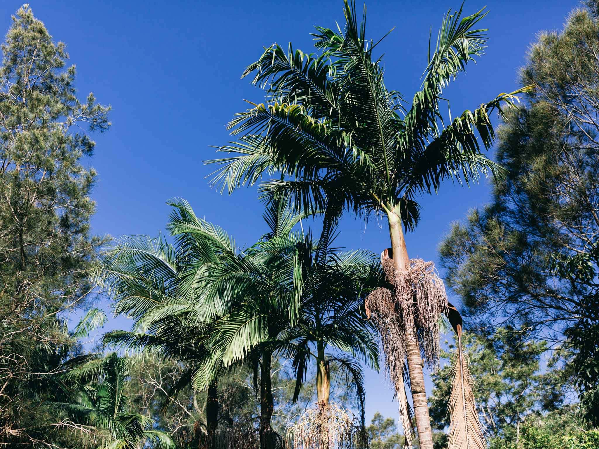 Wooyung Beach Holiday Park | Meet Your Hosts, Jax and Mark